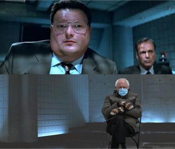 Bernie Instinct | Scrolller