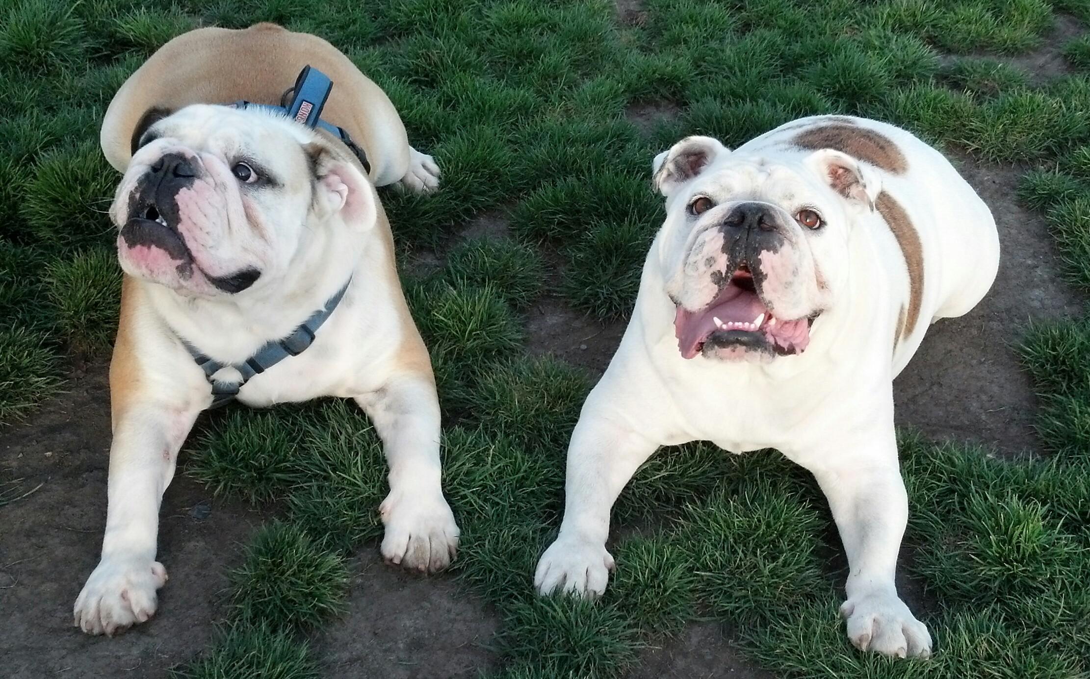 Best buds 4 ever! | Scrolller