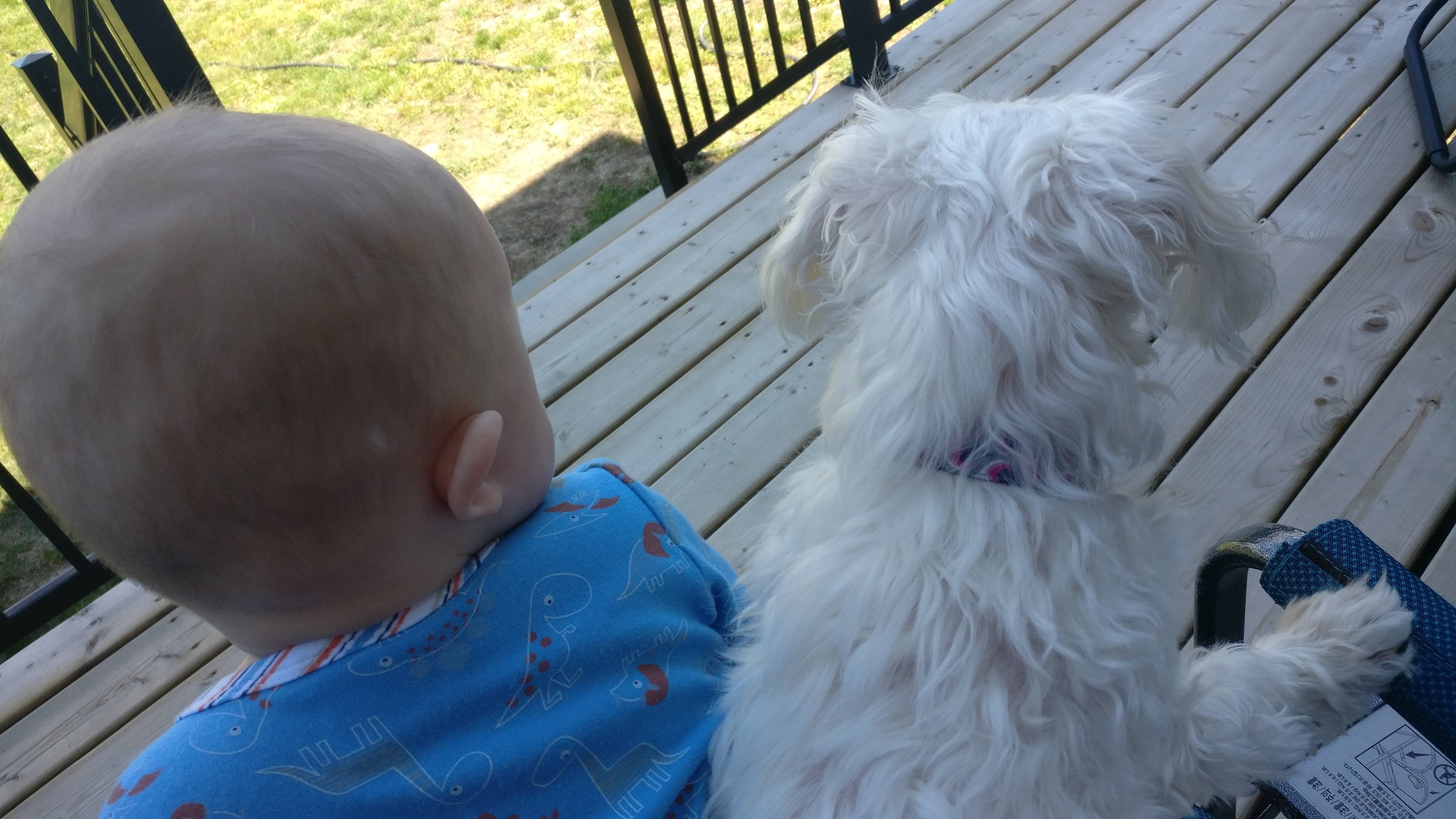 Best buds | Scrolller