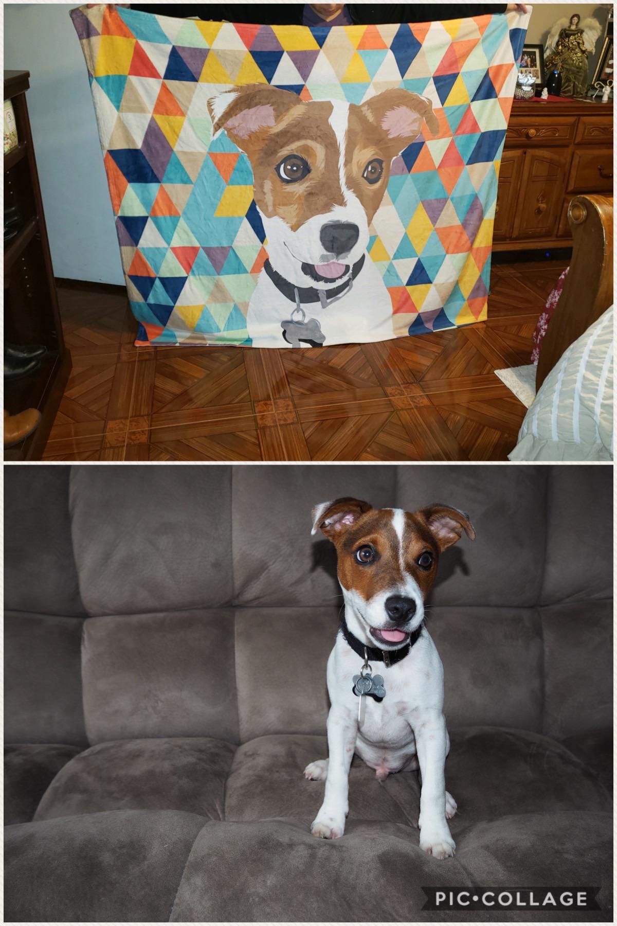 Best Christmas gift ever! 💕 | Scrolller