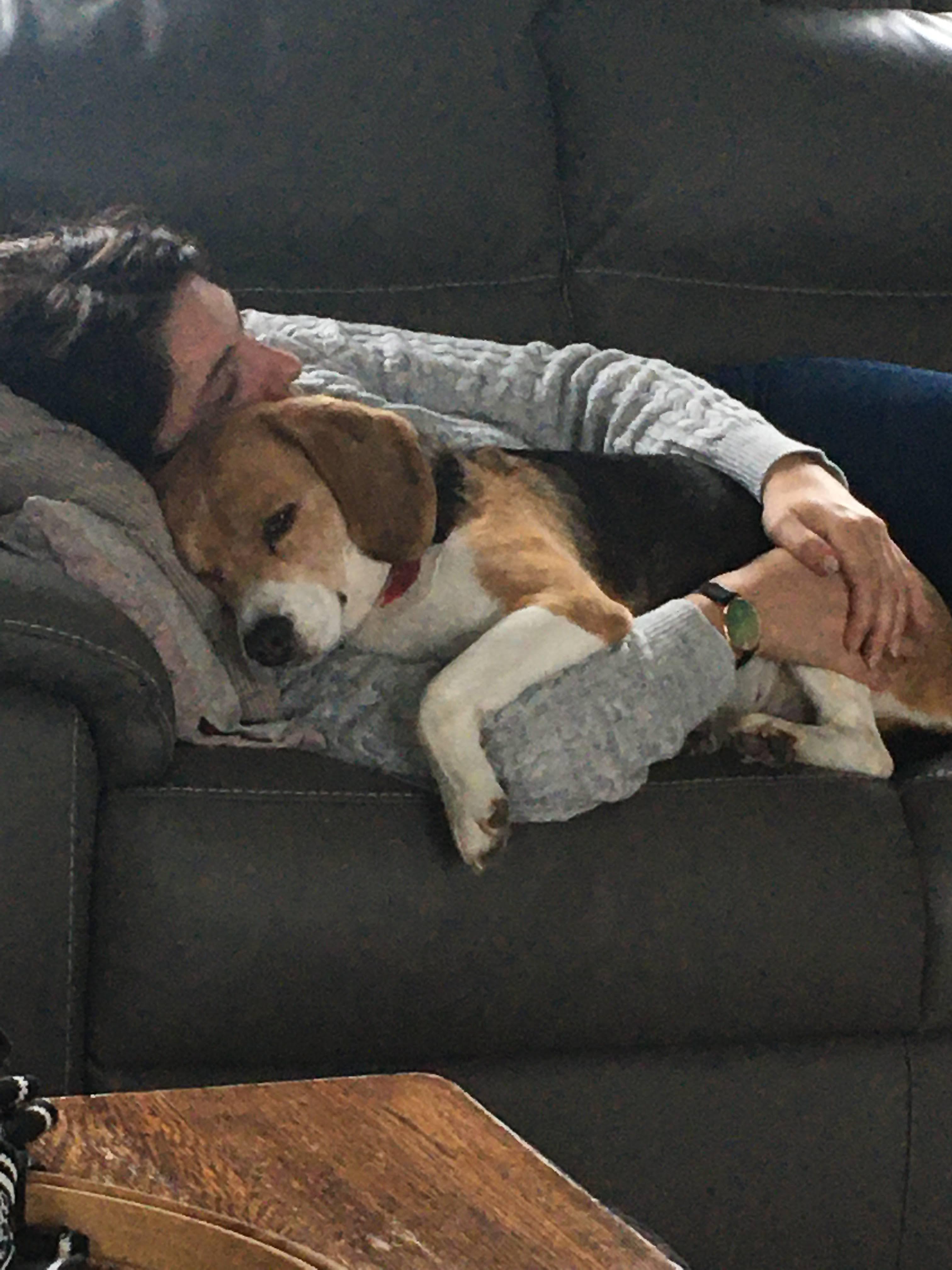 Best cuddling buddy | Scrolller