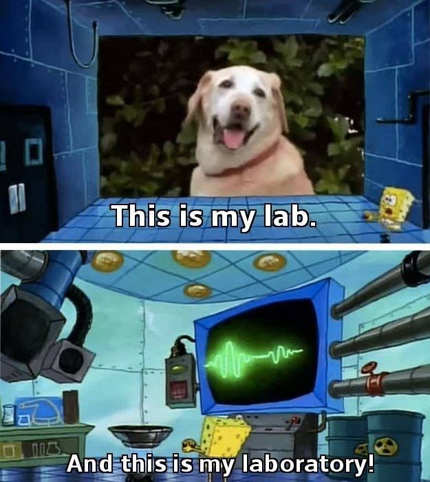 Best dad joke of all time. | Scrolller