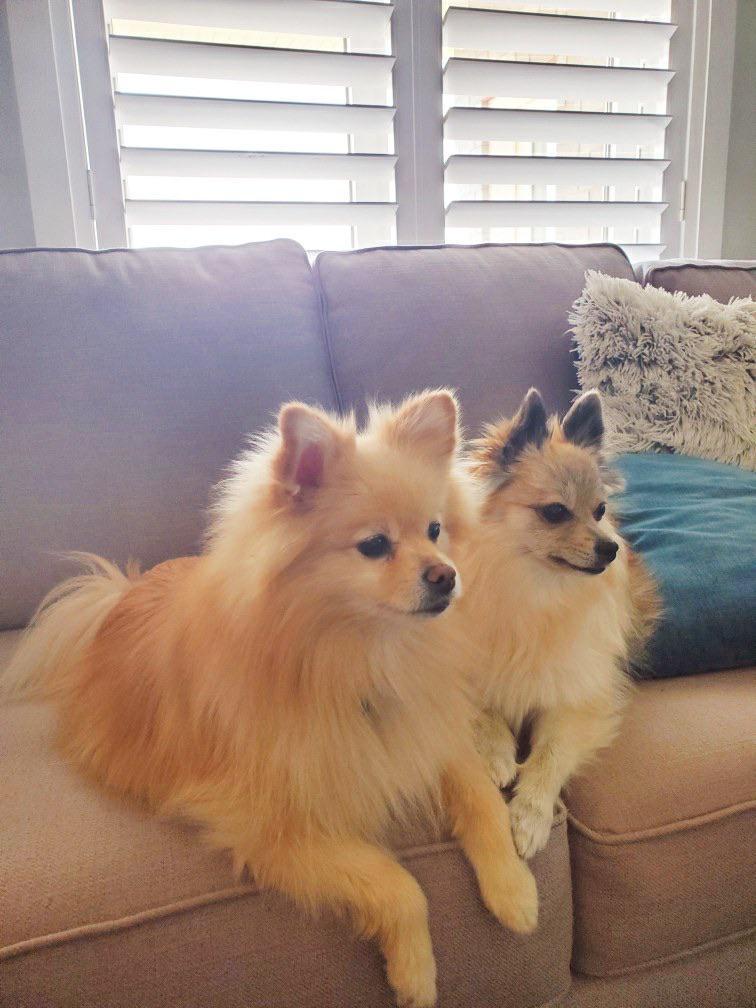 Best friends forever | Scrolller