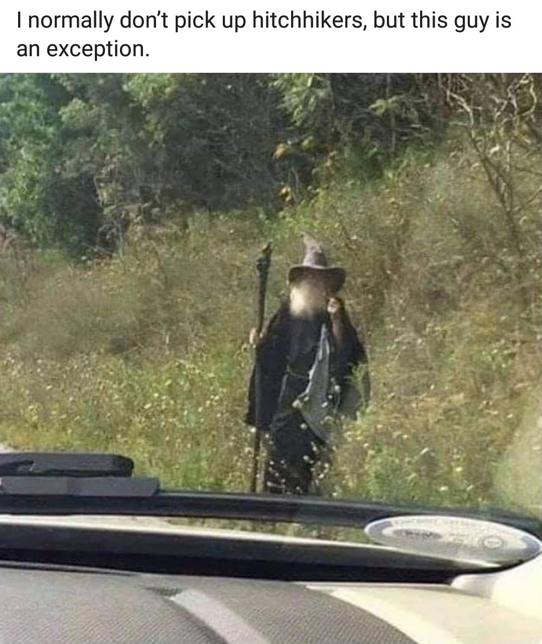 Best hitchhiker ever | Scrolller