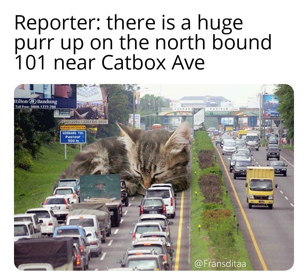 Best traffic jam ever | Scrolller