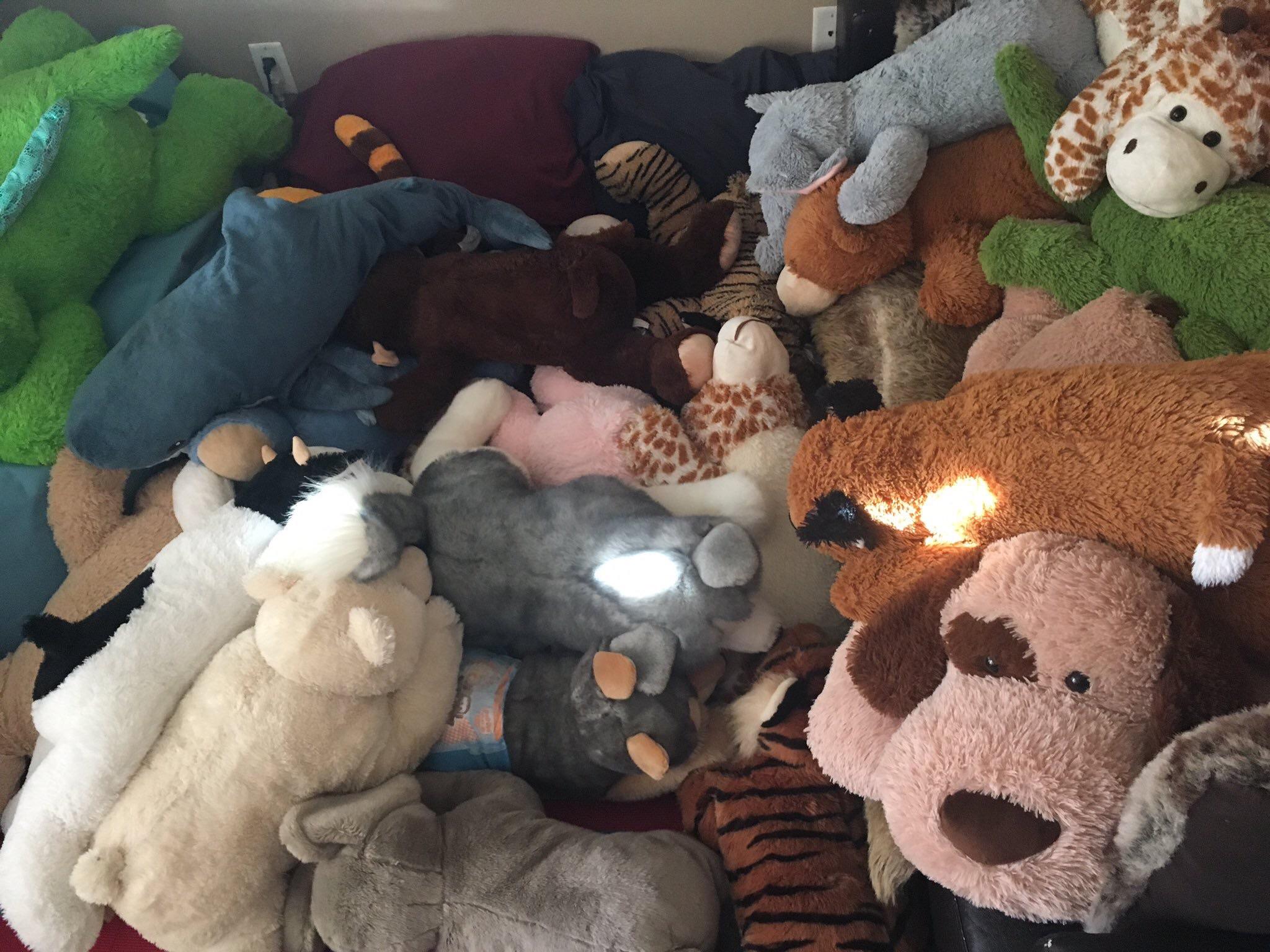 Best use for tons of giant stuffies? Fill a room with em and have a ...