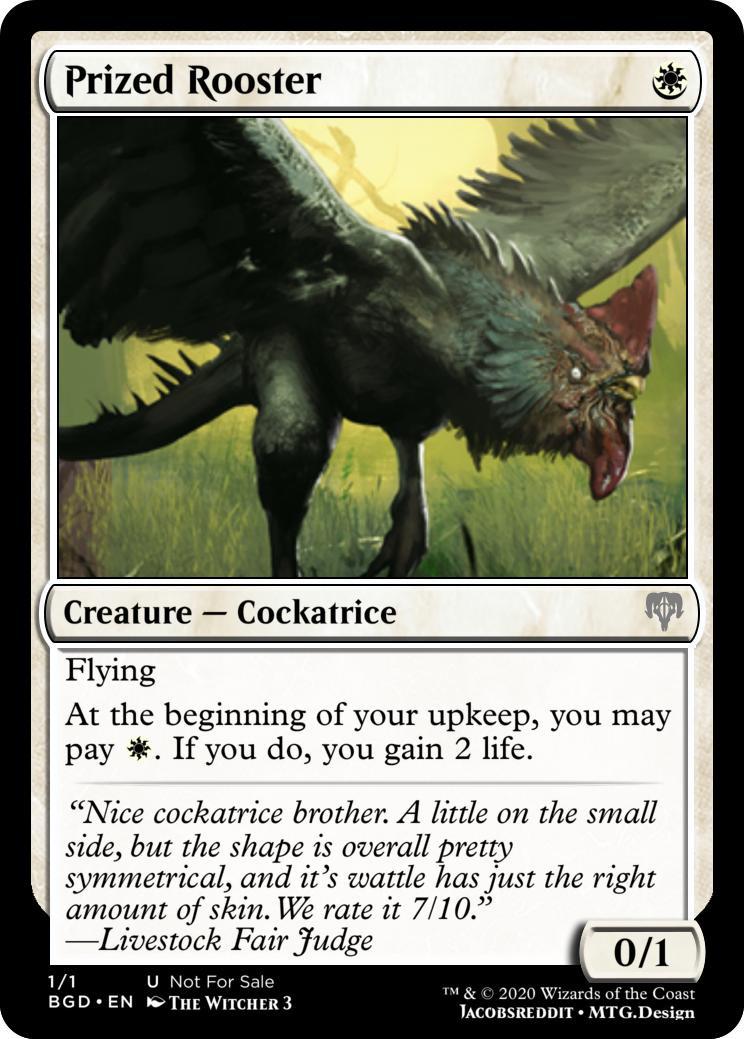 [BGD] Prized Rooster from r/Bogander | Scrolller