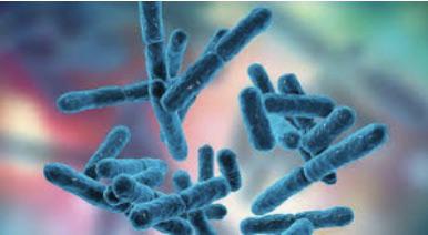 Bifidi appreciation post‼️‼️ Can we get some love for the best bacteria there is? | Scrolller