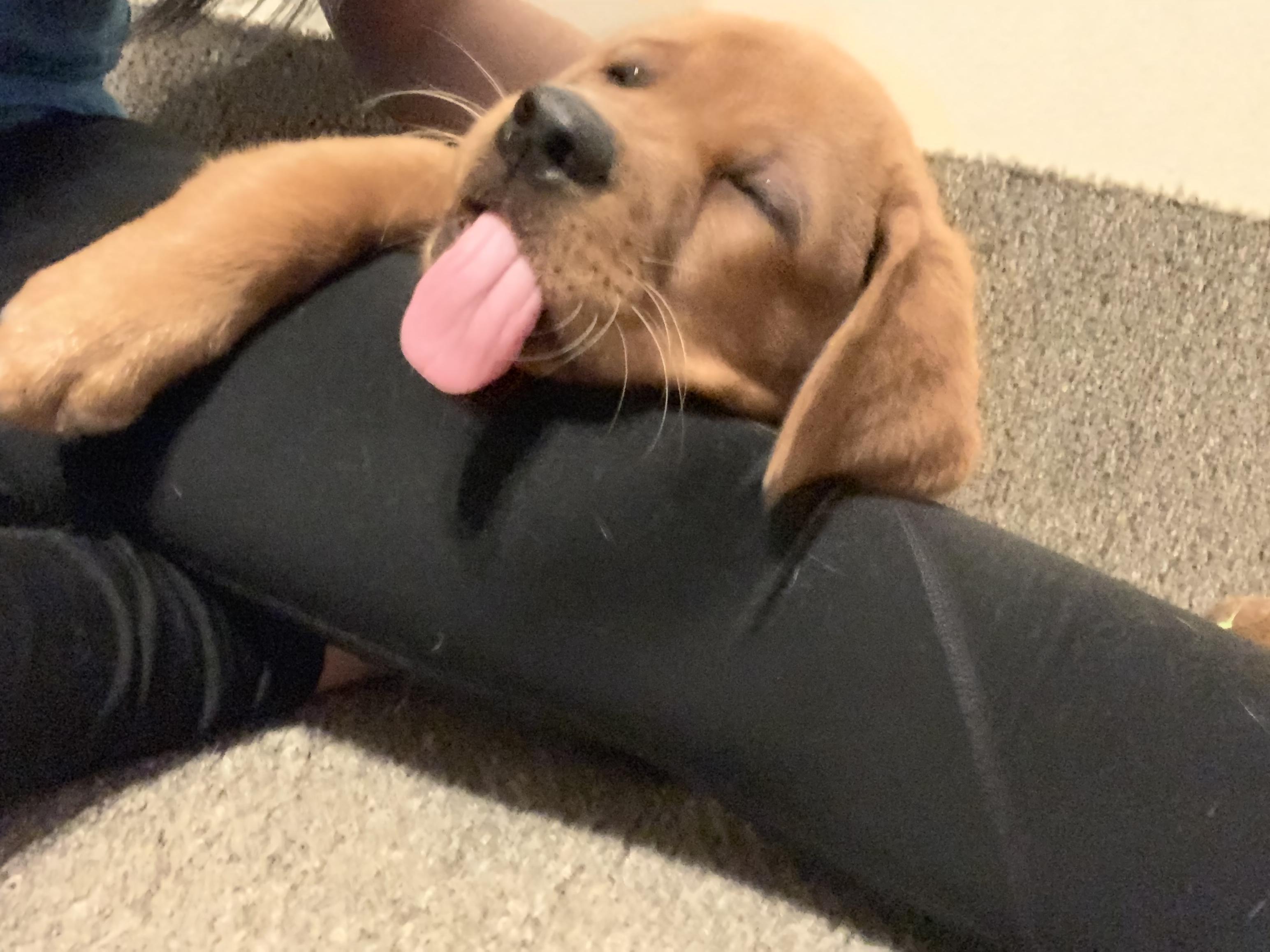 big blop | Scrolller