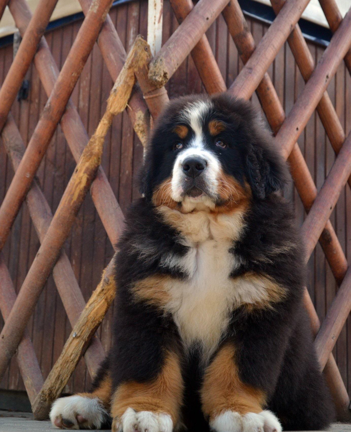 Big Boy!!! | Scrolller