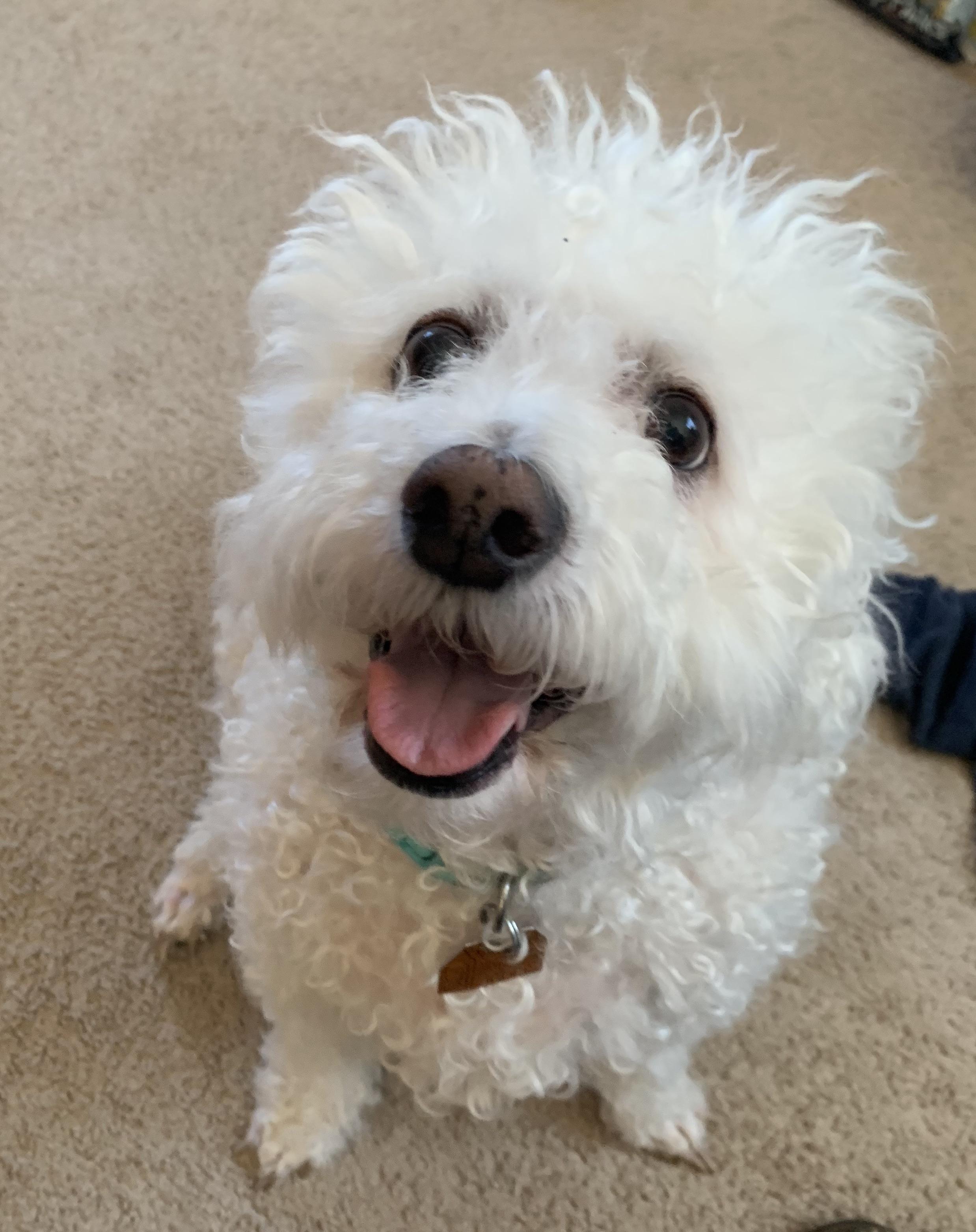 Big Boy Barney | Scrolller