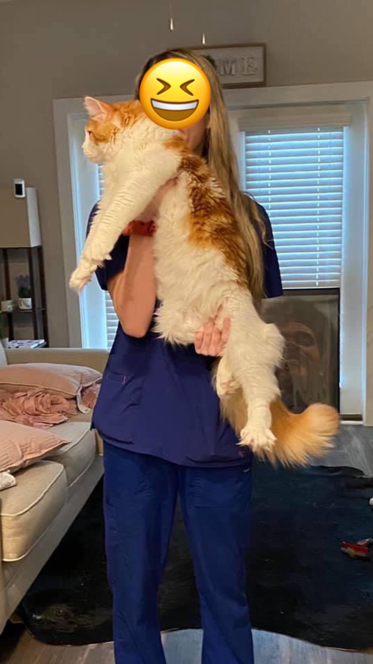 "big boy just turned 7 months old" | Scrolller