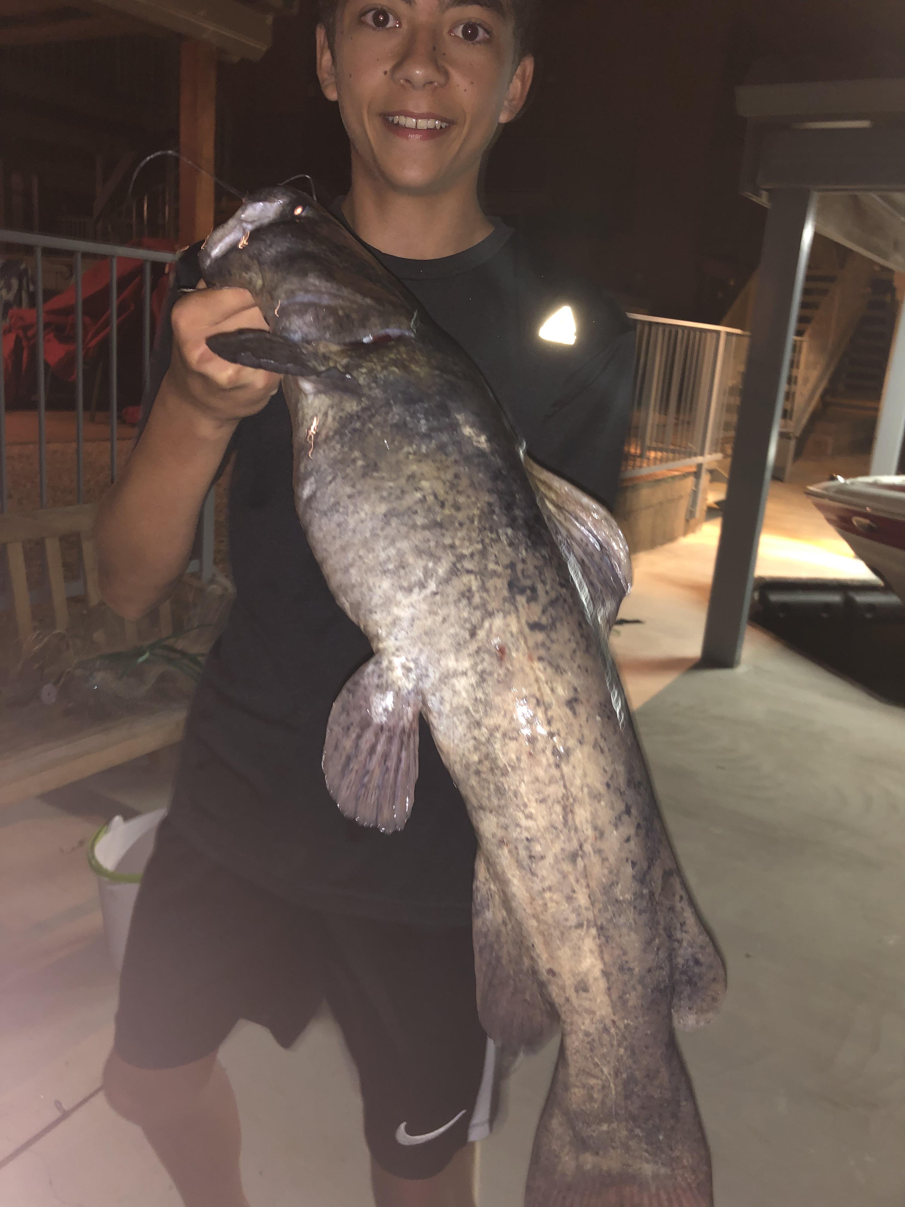 Big catfish I caught late at night! | Scrolller