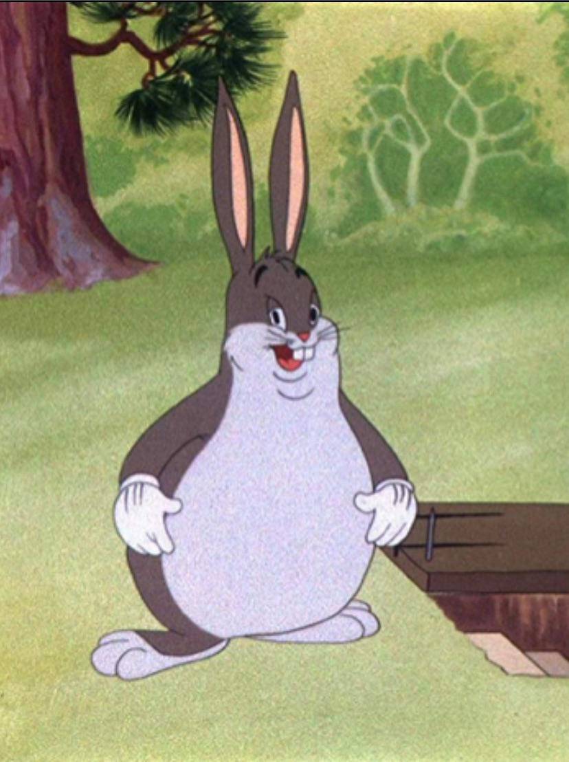 Big chungus | Scrolller