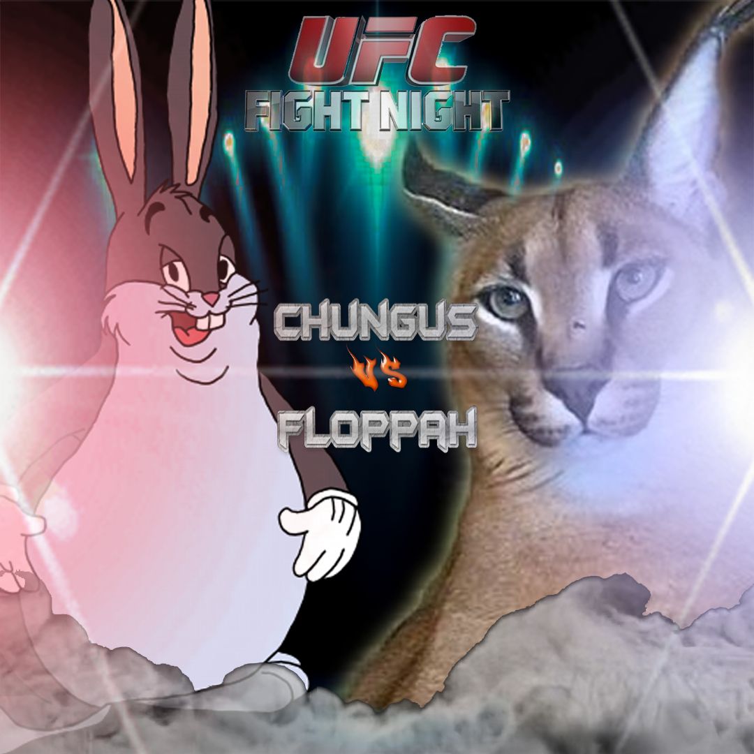 Big Chungus vs. Big Floppa crossover?? | Scrolller