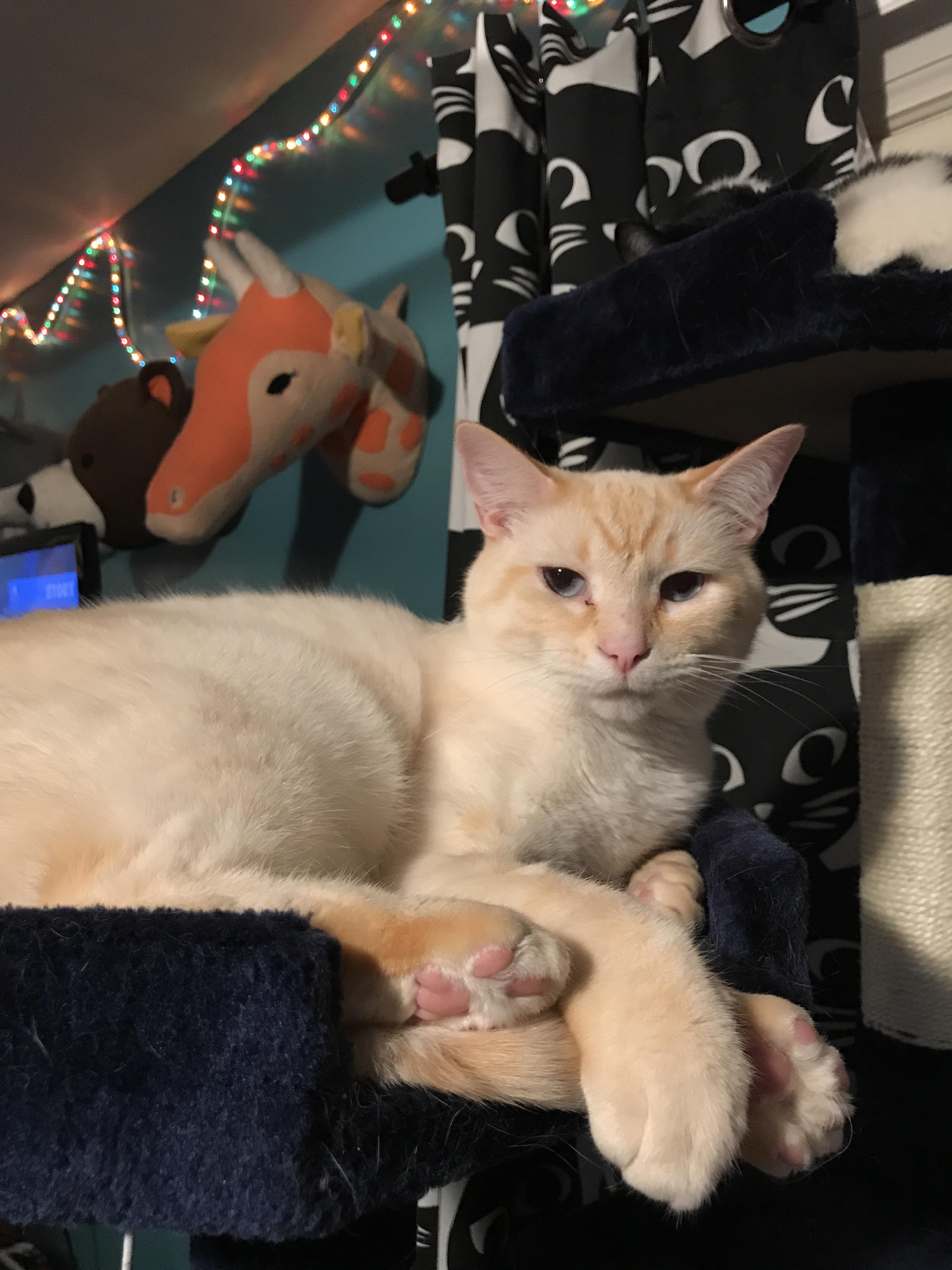 Big ole golden boy beans | Scrolller