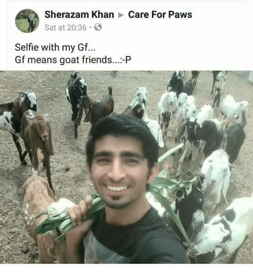 Birader ghazi spotted in the wild | Scrolller