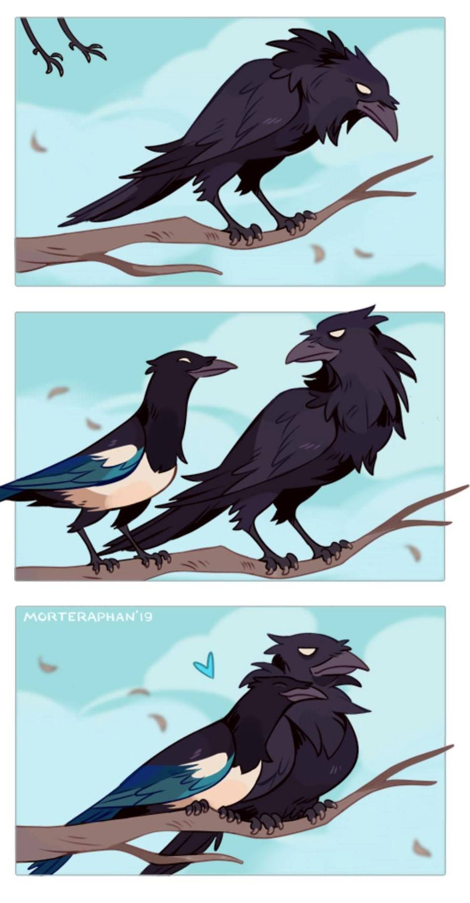 birb_irl | Scrolller