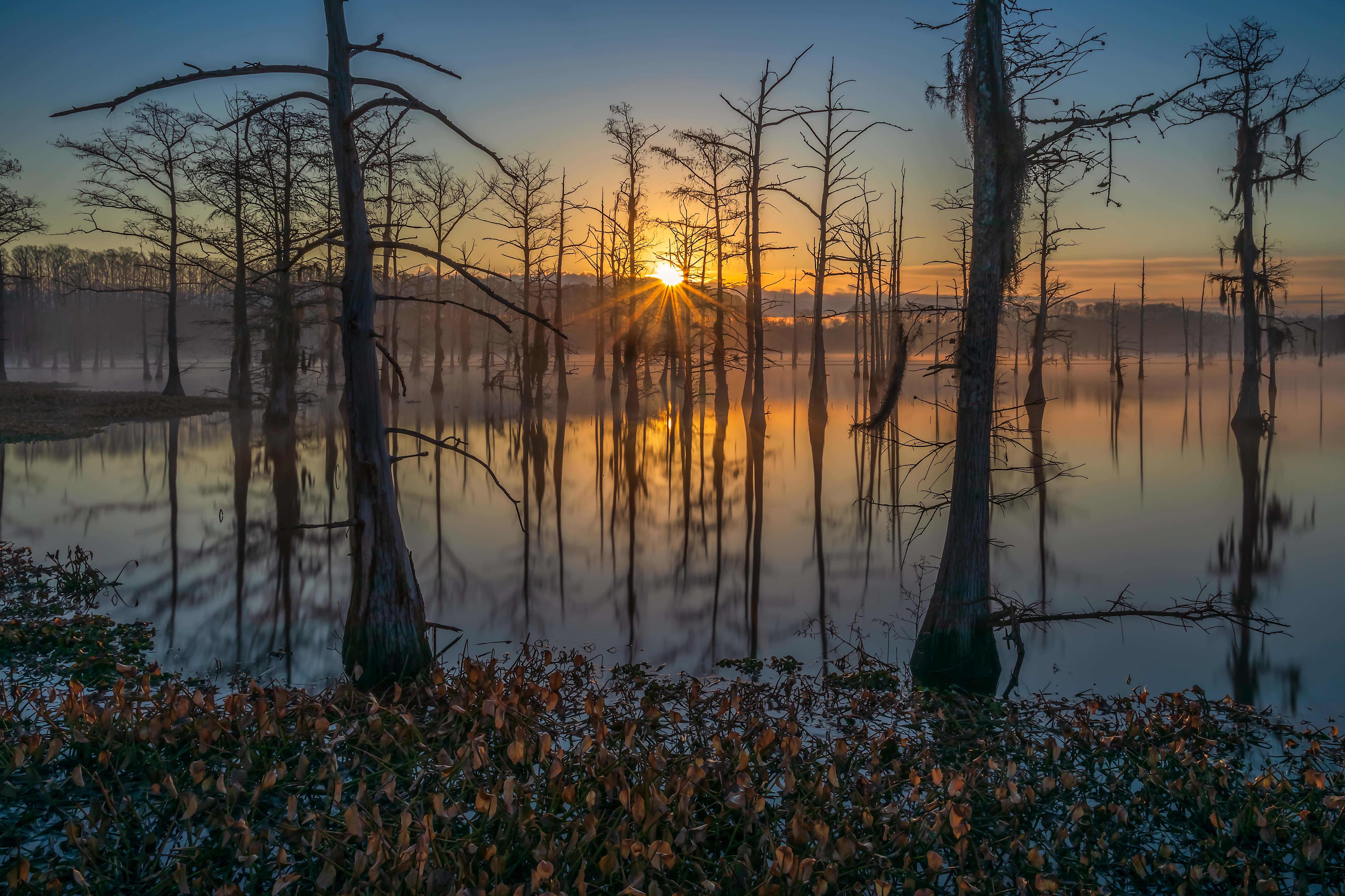 Black Bayou Lake sunrise | Scrolller