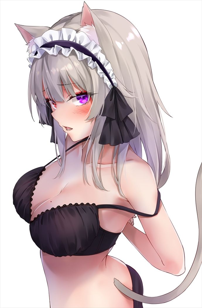 Black bra nekomimi [Artist's Original] | Scrolller