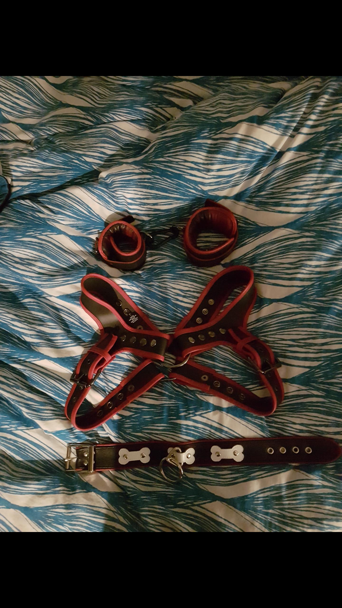 Black friday deals were too good to pass-up. This is my starting kit.. woof! | Scrolller