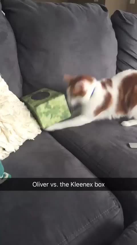 bless you | Scrolller