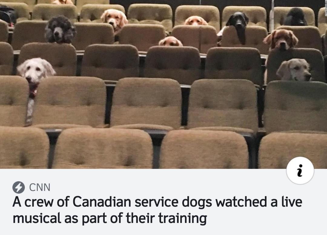 blessed_audience | Scrolller