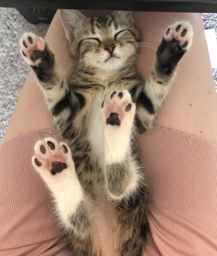 Blessed_beans. | Scrolller