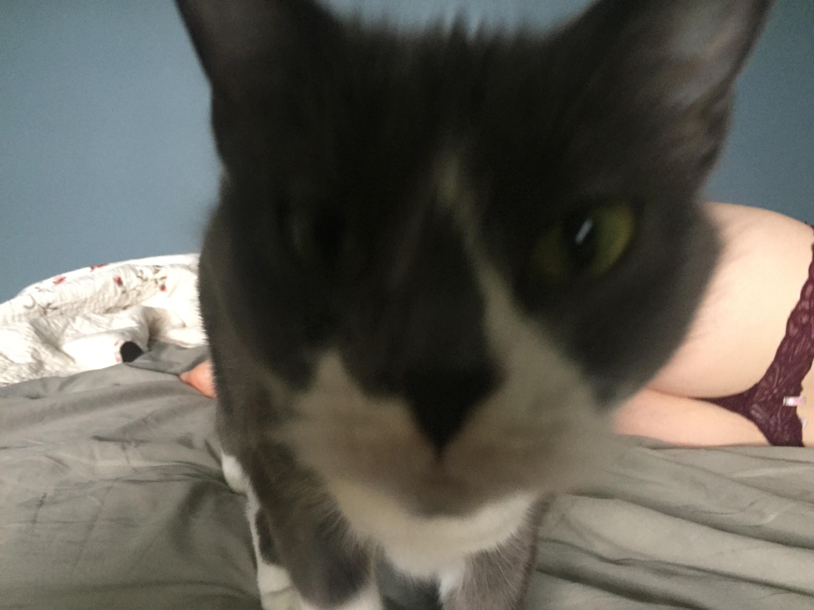 [Blooper] She needs to be the CENTER of attention in our house | Scrolller