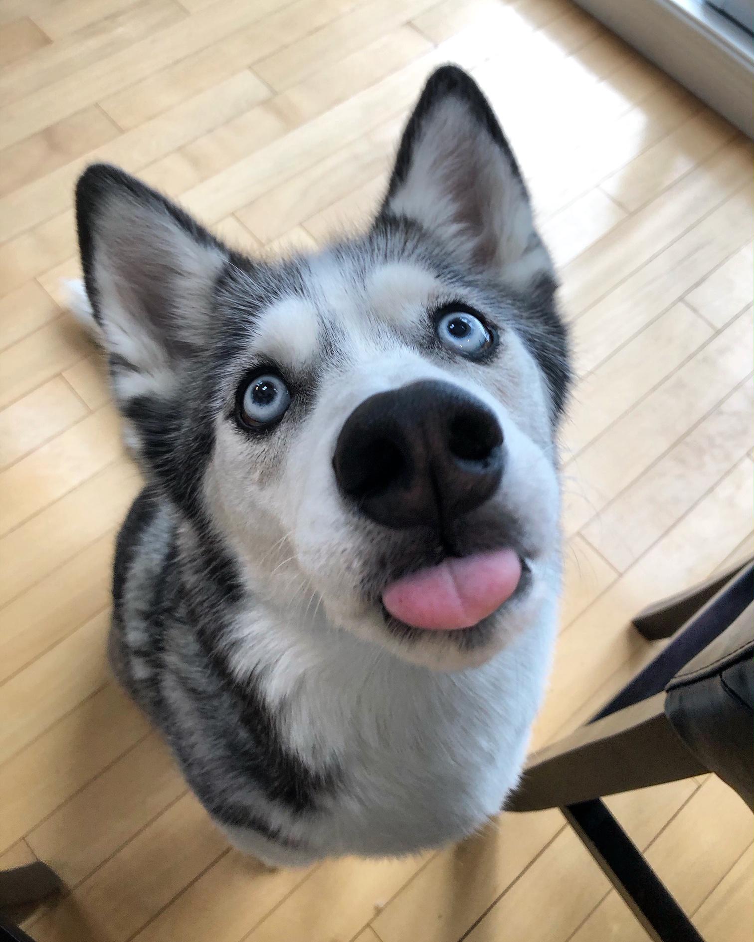 Blop! | Scrolller