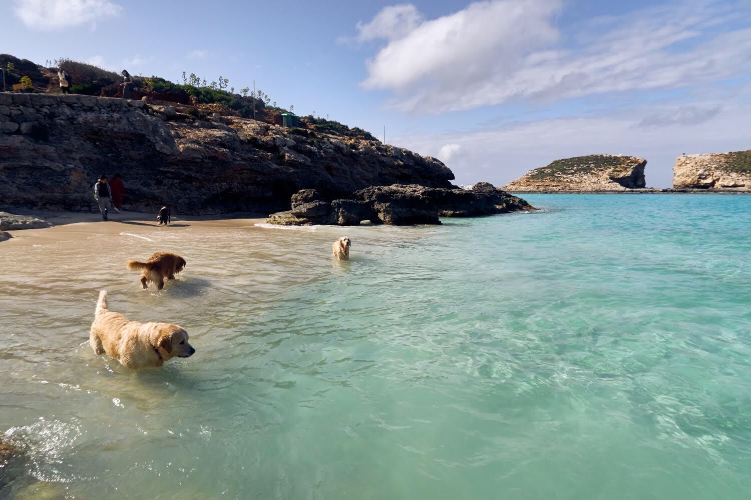 Blue Lagoon [OC] | Scrolller