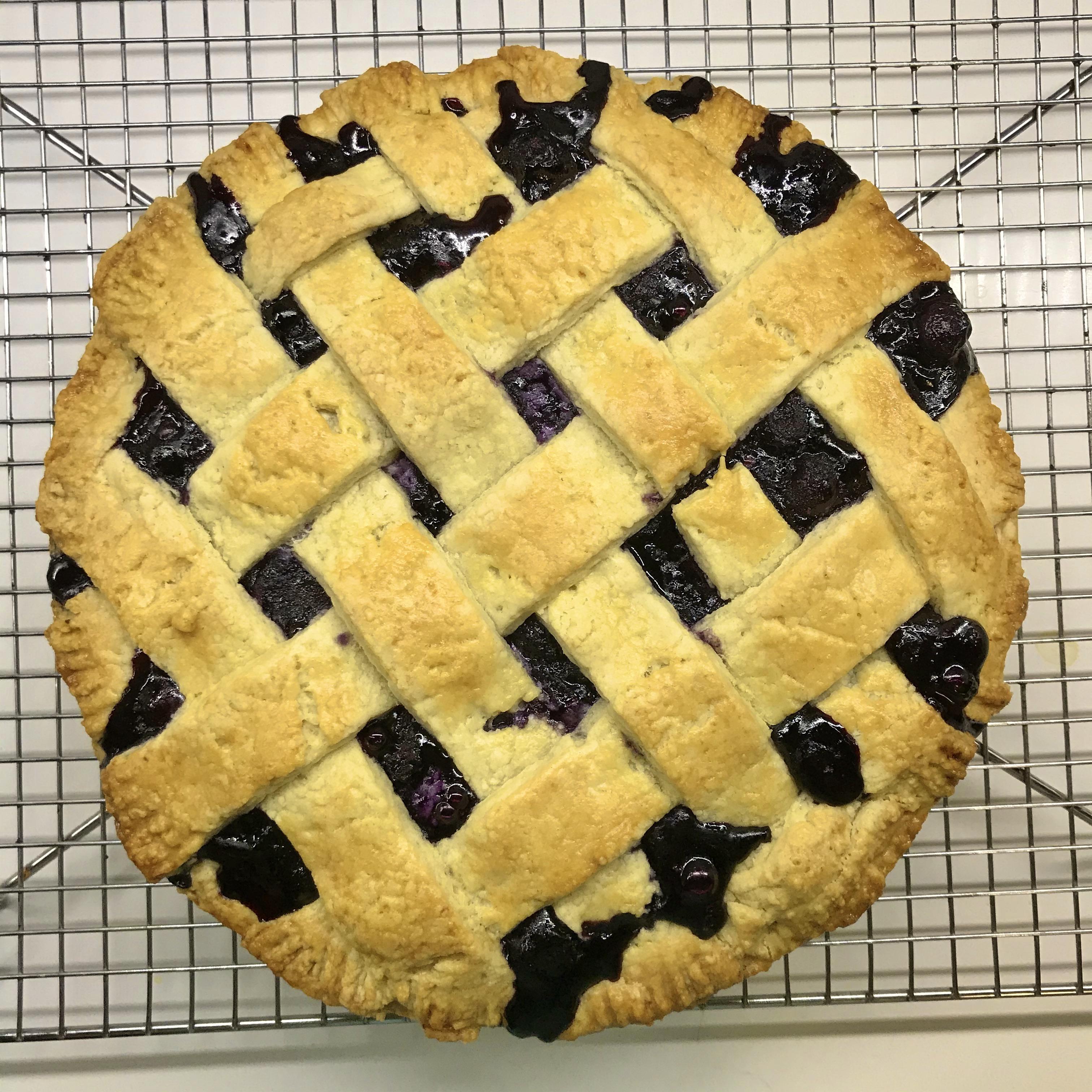 Blueberry pie I made for a friend | Scrolller
