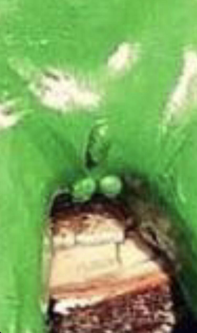 Blursed_dick | Scrolller