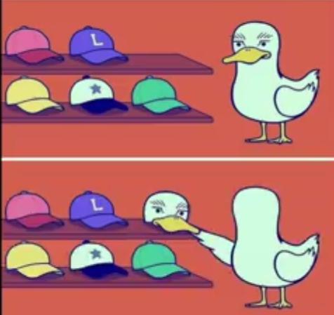 Blursed duck | Scrolller