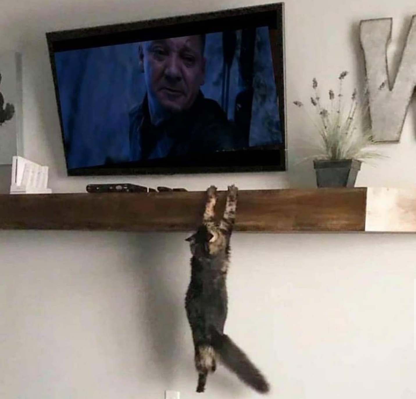 Blursed Endgame | Scrolller