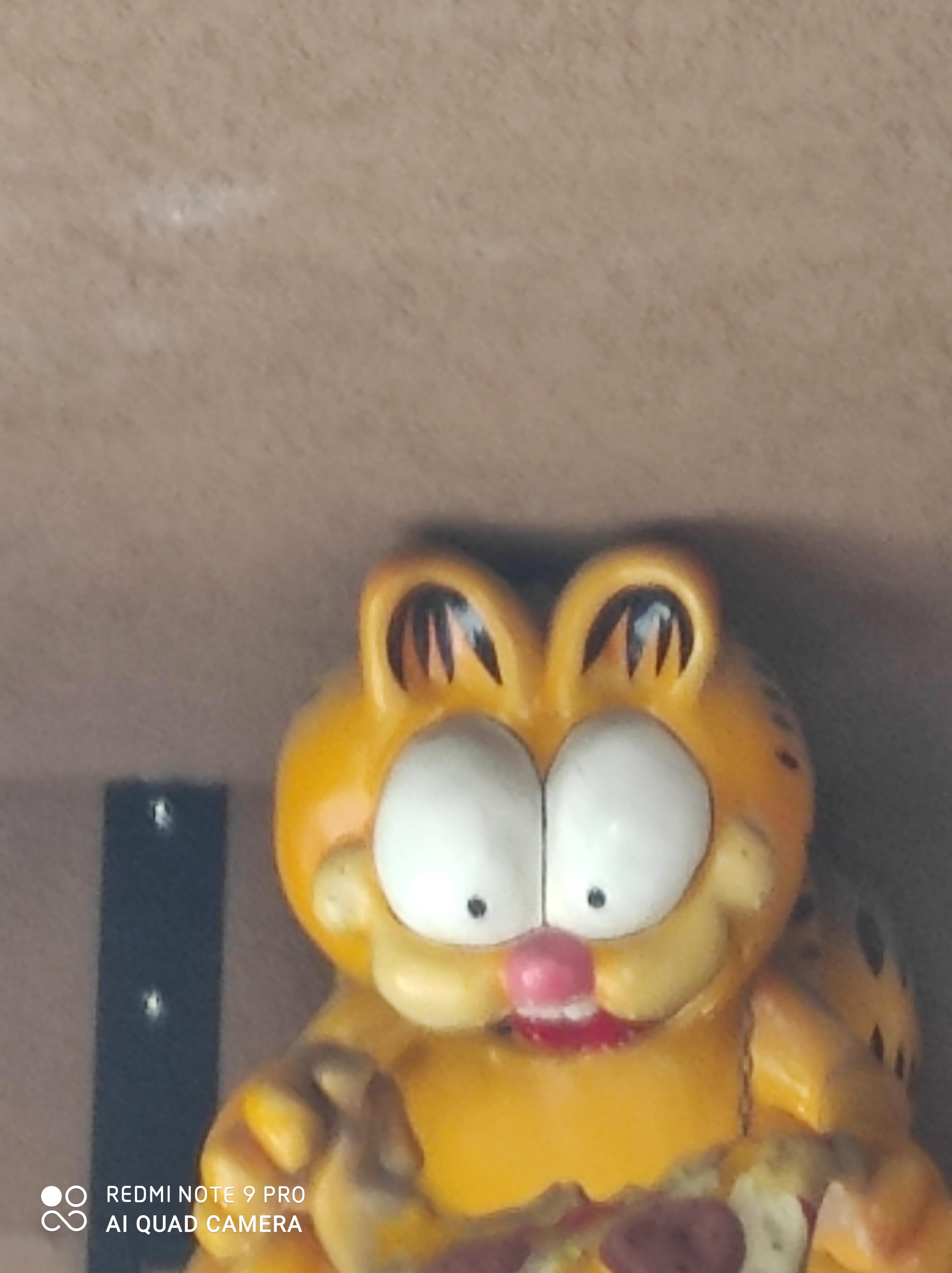 Blursed_garfield | Scrolller