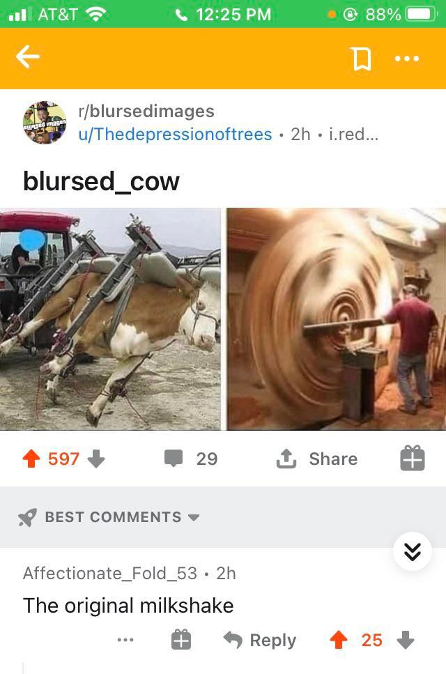 Blursed_milkshake | Scrolller