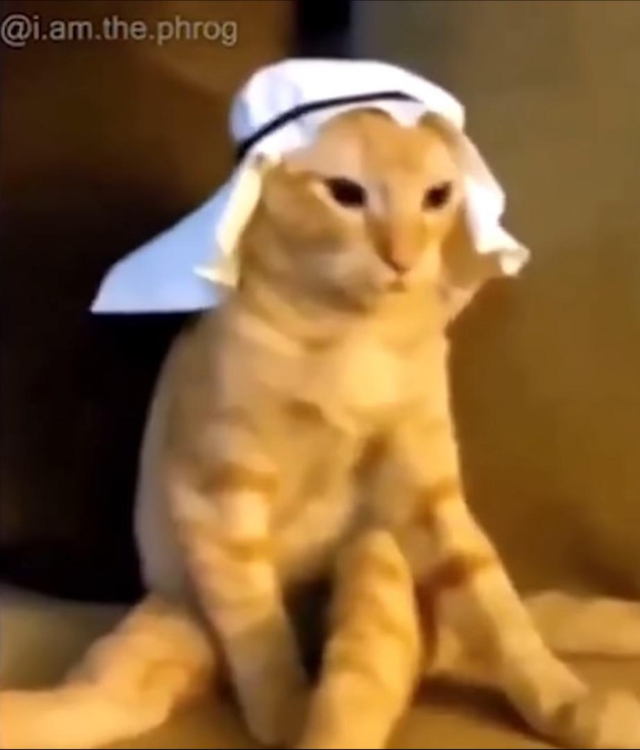 Blursed_Osama | Scrolller