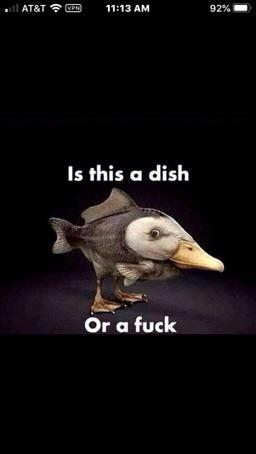 “Blursed” photo of a Part Duck part fish Hybrid Abomination | Scrolller