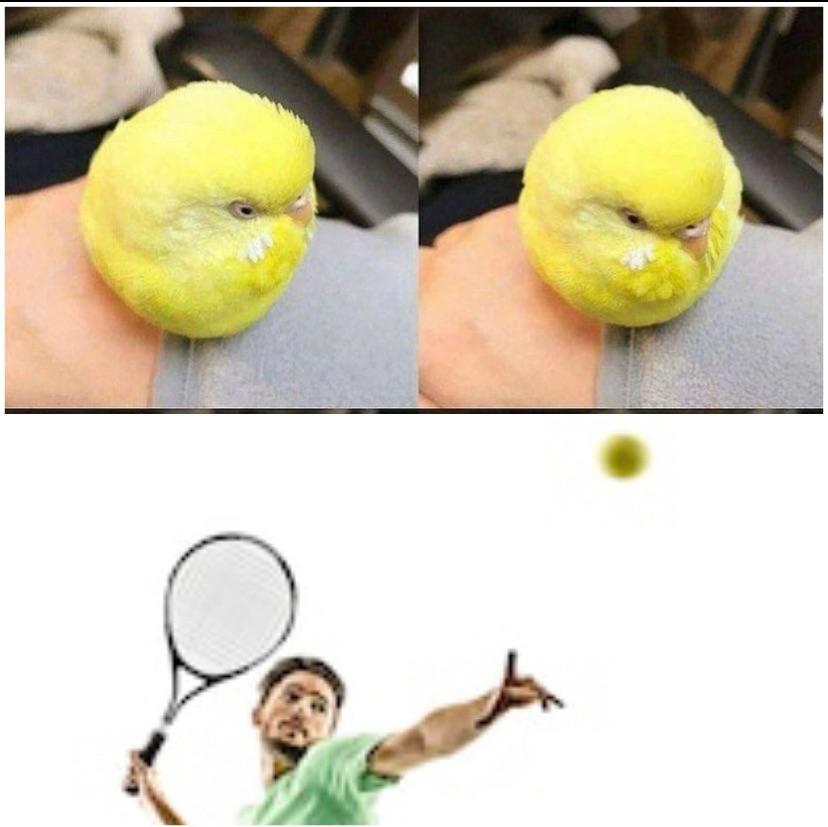 Blursed tennis ball | Scrolller