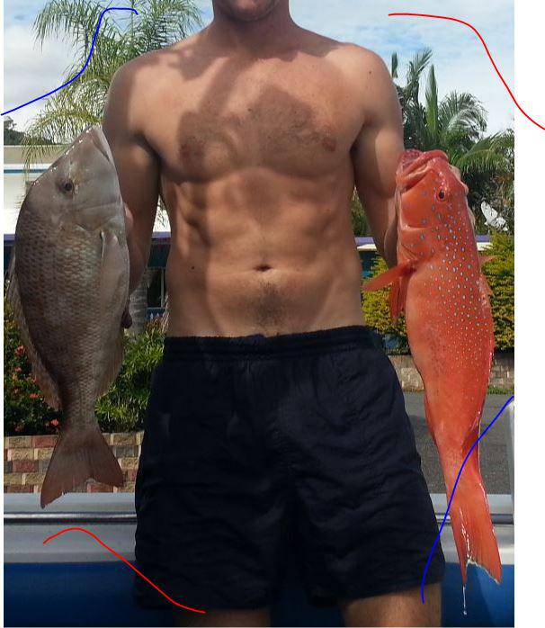 Body Fat % estimate? [OC] | Scrolller