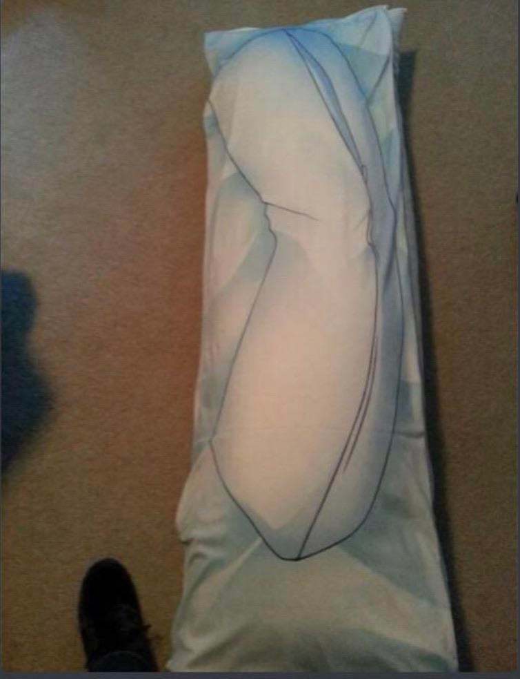 Body pillow body pillow | Scrolller