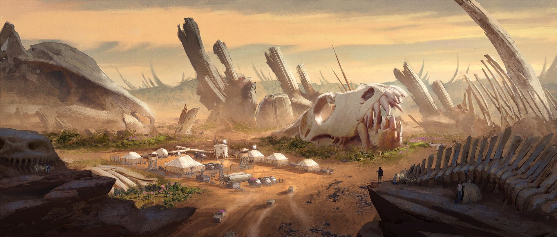 Bones by Jasza Dobrzanski | Scrolller