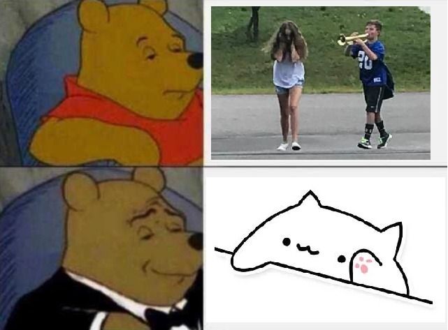 BONGOCAT! | Scrolller