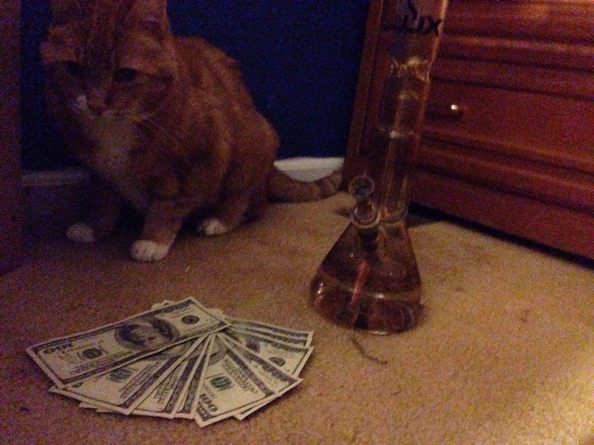 Bongs and Benjamins | Scrolller