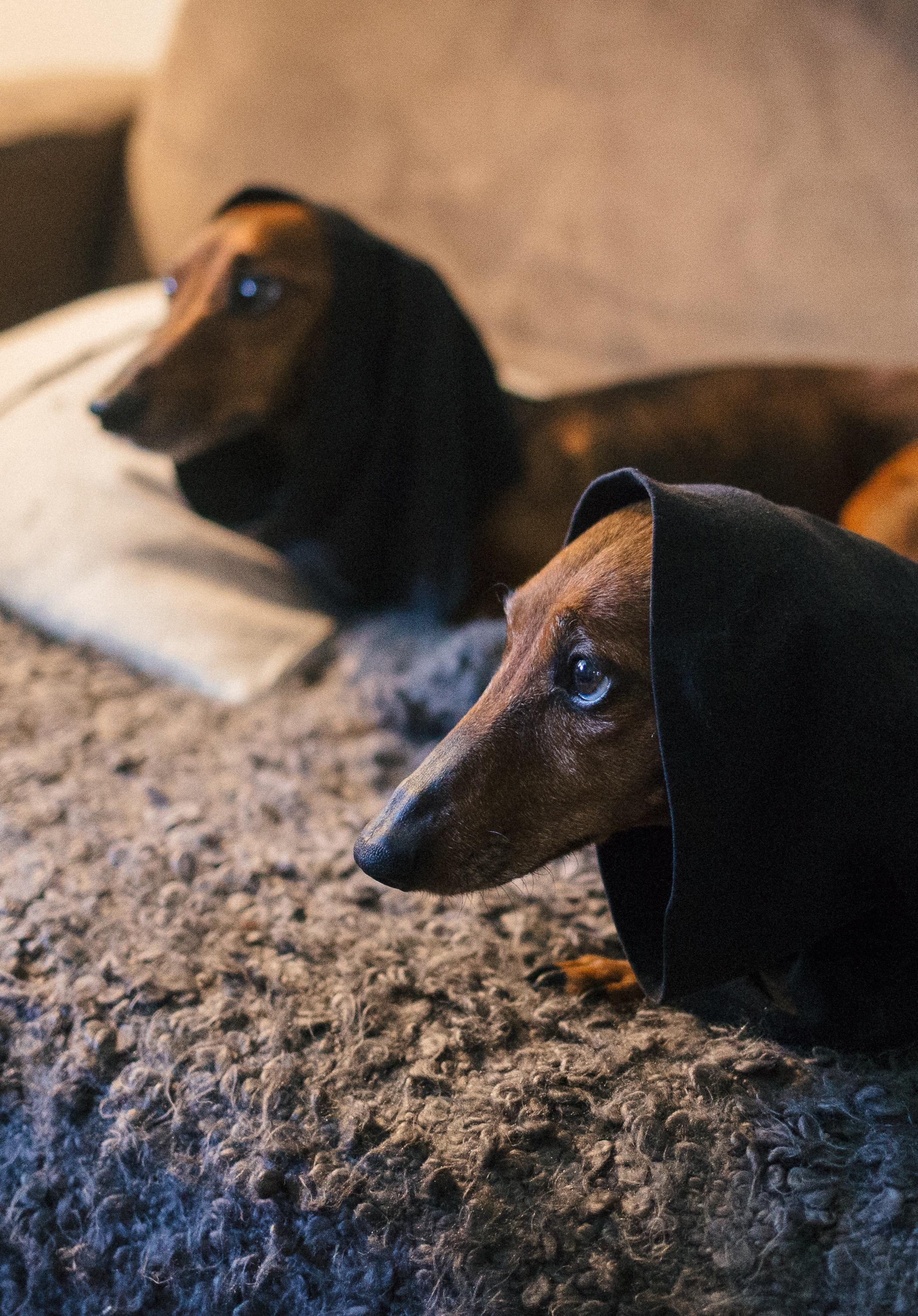 Bonnie and Clyde | Scrolller