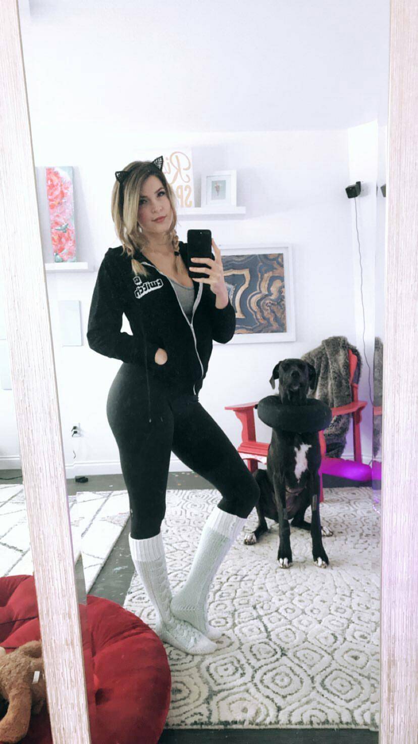 Boss Kitty | Scrolller