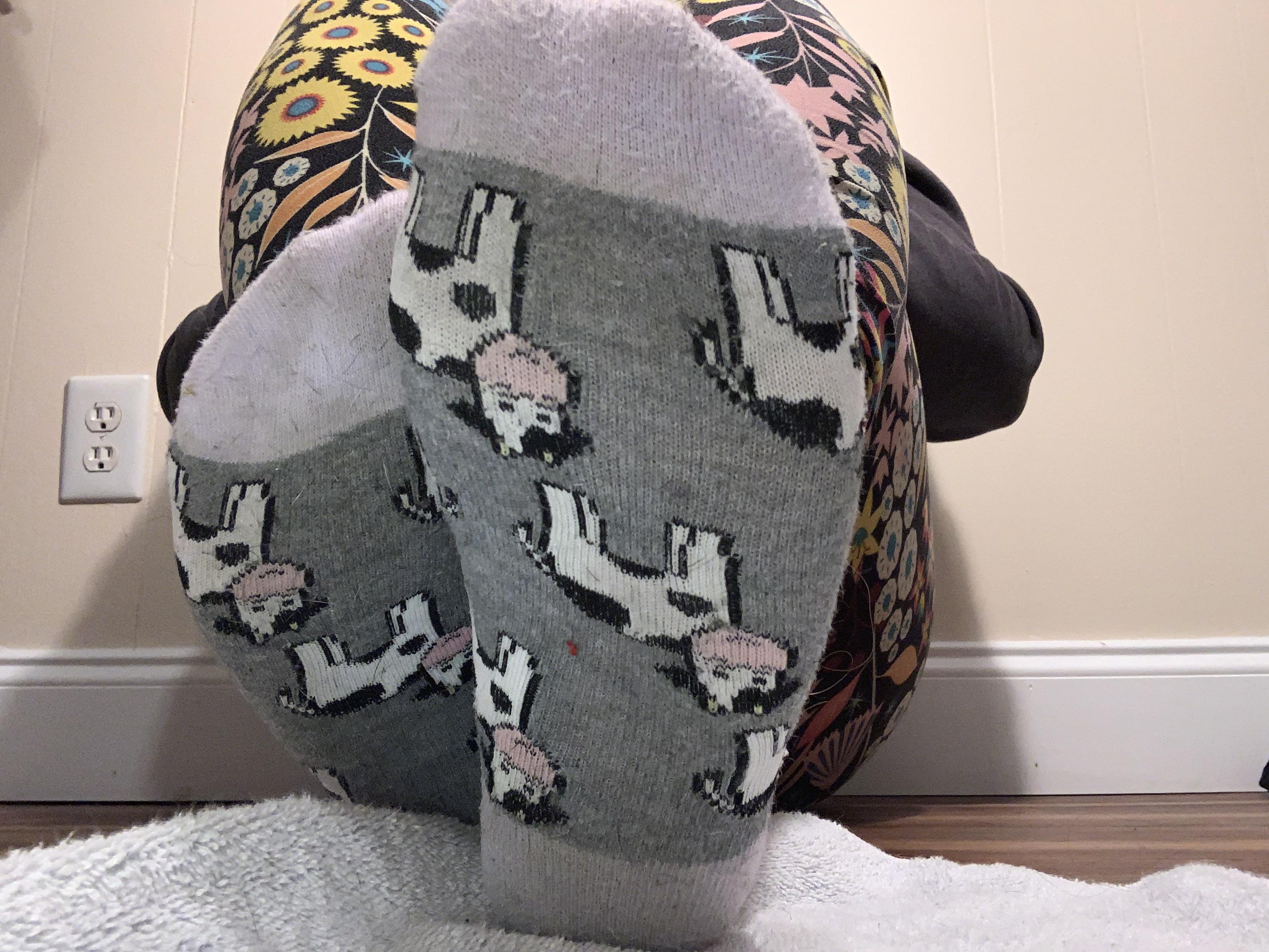 bow down and worship | Scrolller