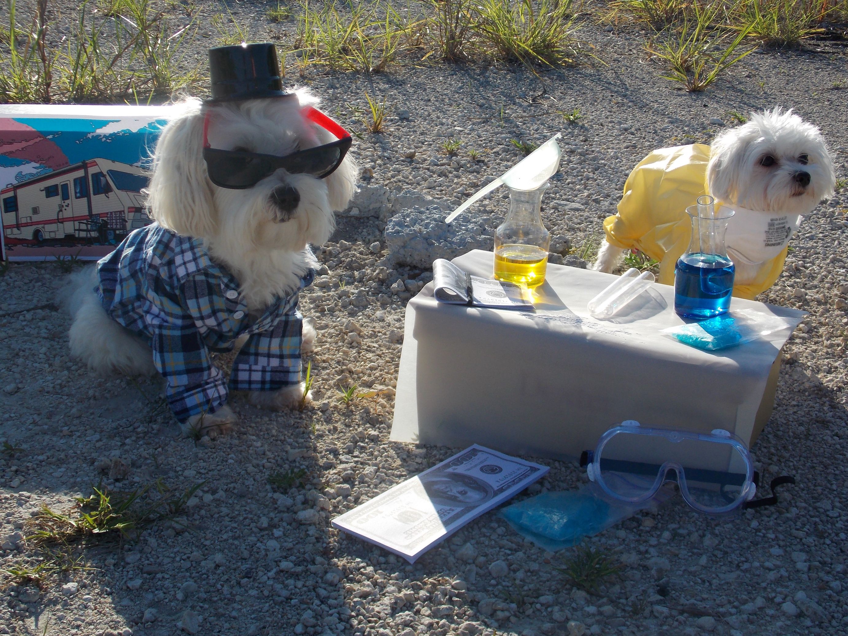 Breaking Bad starring Drake and Chanel :) | Scrolller