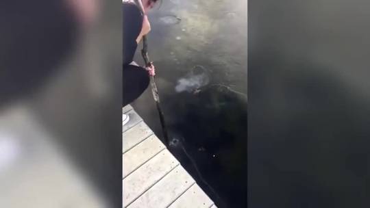breaking Ice with a stick -WCGW | Scrolller